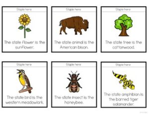 Kansas Flip-Up Book {Kansas Day Activity} - Katie Roltgen Teaching