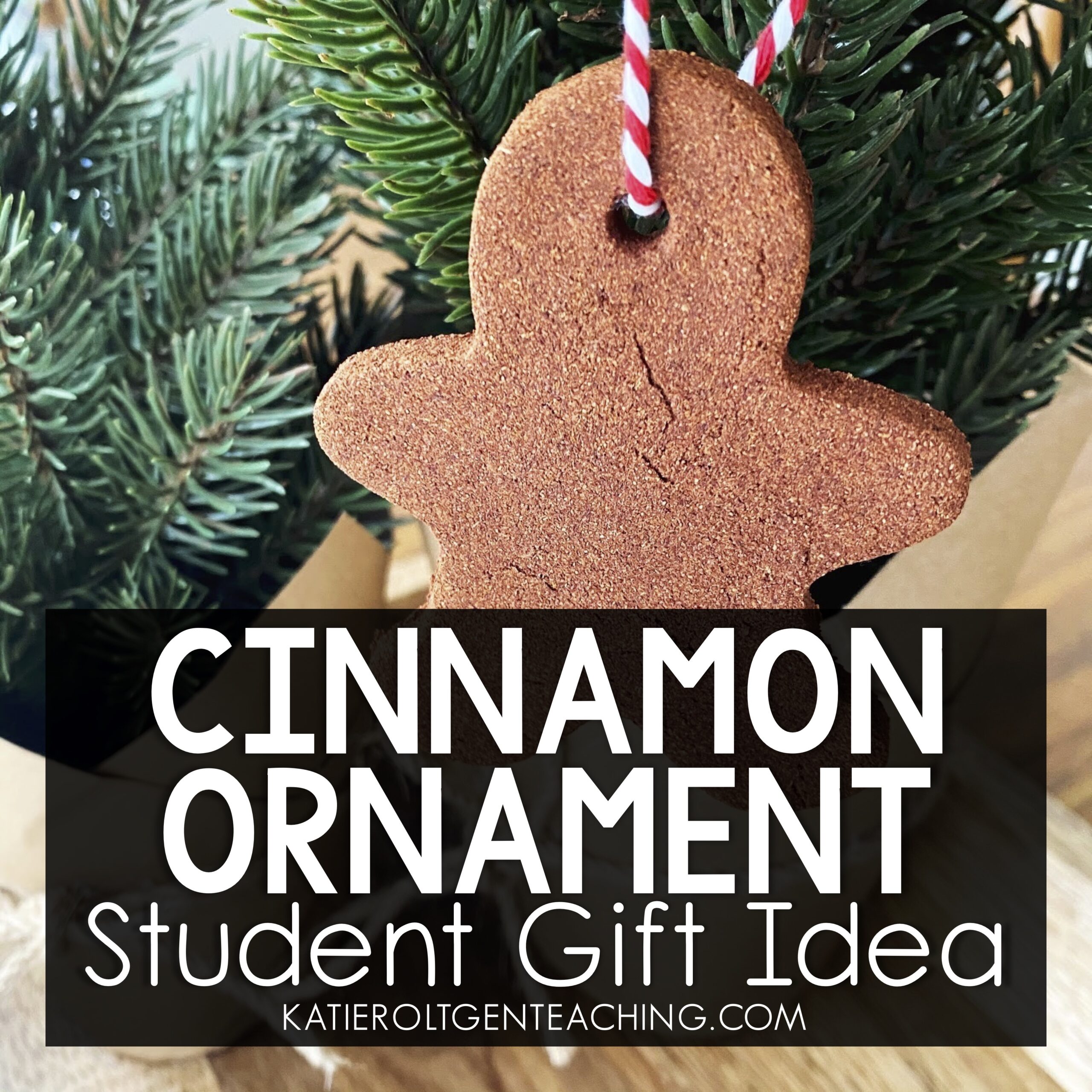 Cinnamon Ornament Gifts: An Easy and Sweet Gift for Students to Give ...