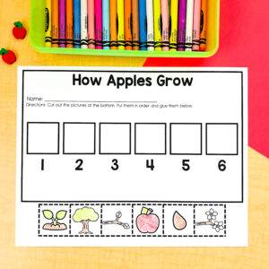 Five Apple Life Cycle Activities for Kindergarten - Katie Roltgen Teaching