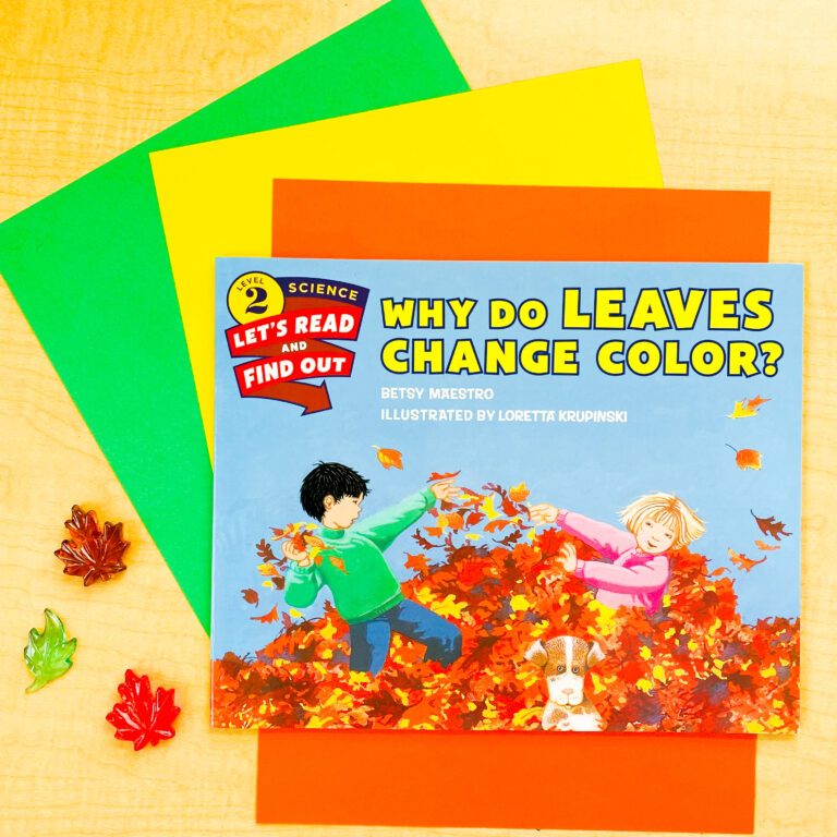 The Best Leaf Read Alouds for Kindergarten - Katie Roltgen Teaching