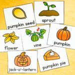 Pumpkin Life Cycle Activities for Kindergarten - Katie Roltgen Teaching
