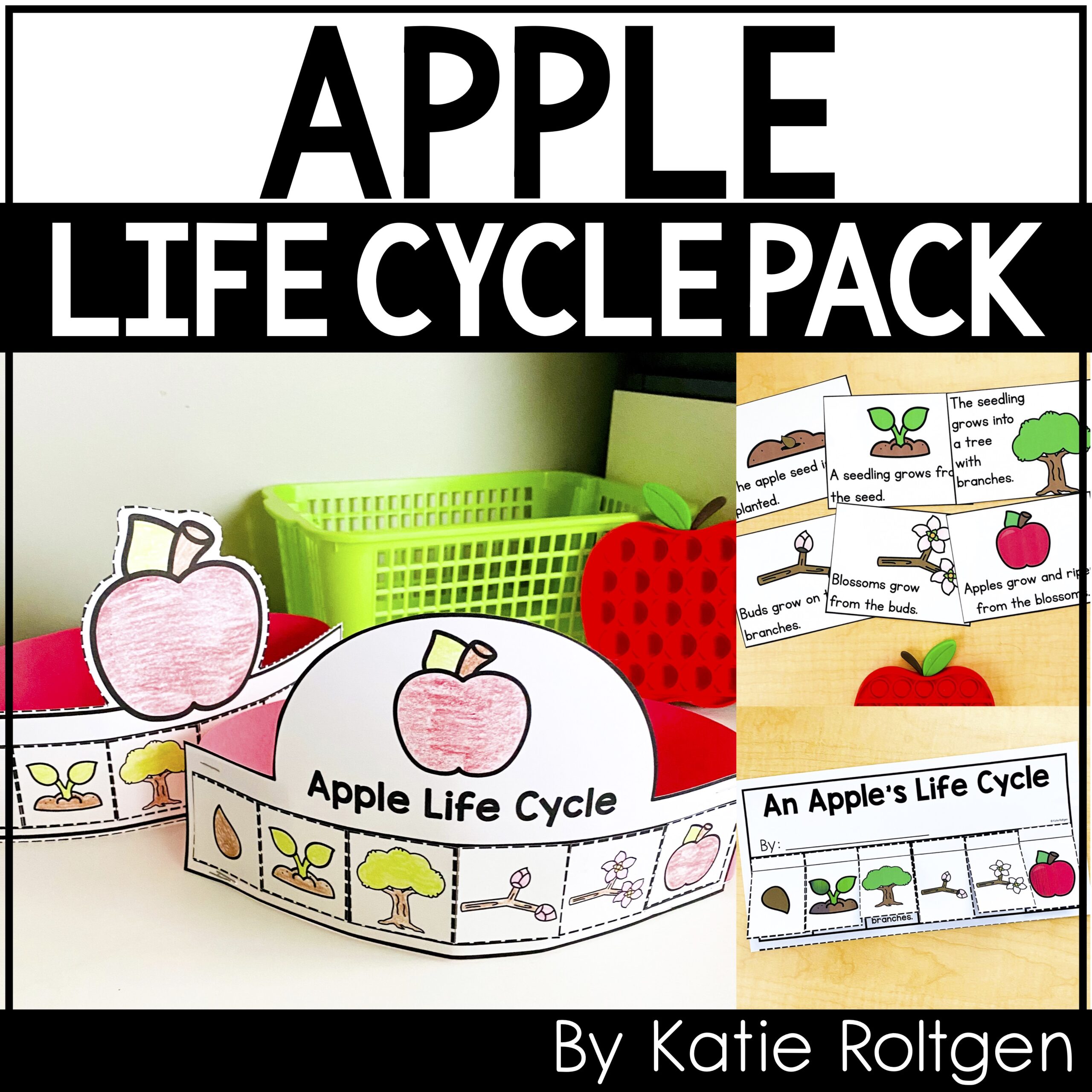 Apple Life Cycle Activities Katie Roltgen Teaching Apple Life Cycle Activities Katie Roltgen Teaching