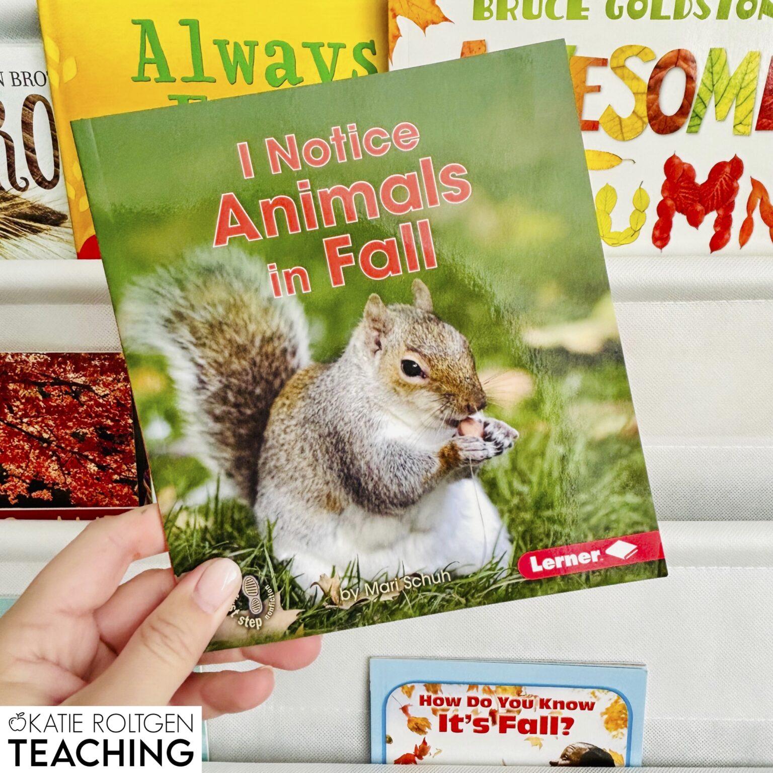 15 Fall Read Alouds for Kindergarten - Katie Roltgen Teaching