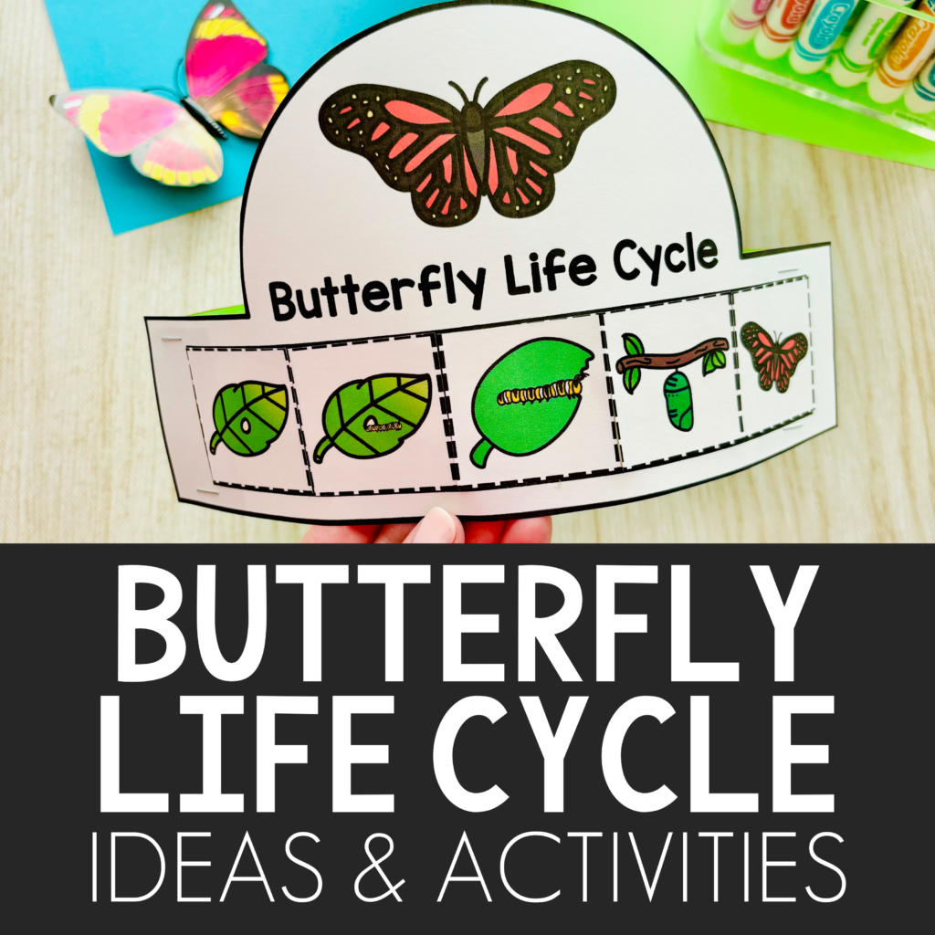 Butterfly Life Cycle Activities for Kindergarten - Katie Roltgen Teaching