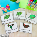 Butterfly Life Cycle Activities for Kindergarten - Katie Roltgen Teaching