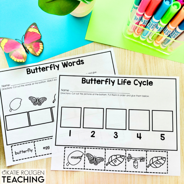 Butterfly Life Cycle Activities for Kindergarten - Katie Roltgen Teaching