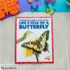 Butterfly Read Alouds for Kindergarten - Katie Roltgen Teaching