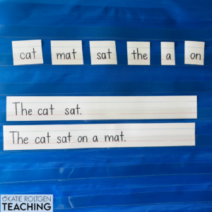 CVC Words in Sentences: Simple Practice Ideas for Early Readers - Katie ...